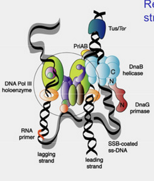 Solved Please provide a description of all the labels like | Chegg.com