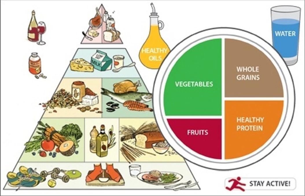 Solved Explain the food pyramid and food plate based | Chegg.com