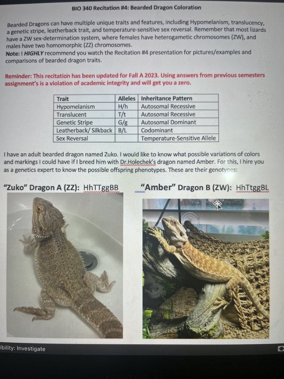Solved BIO 340 Recitation #4: Bearded Dragon Coloration | Chegg.com