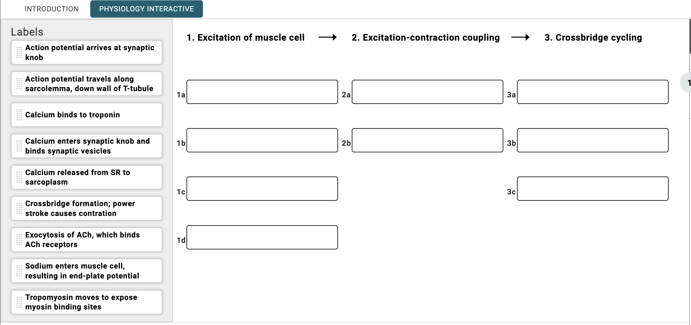 Solved INTRODUCTION PHYSIOLOGY INTERACTIVE Labels 1. | Chegg.com