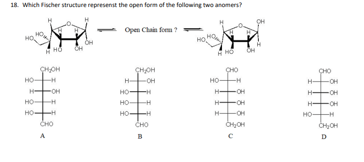 Solved 18. Which Fischer structure represenst the open form | Chegg.com