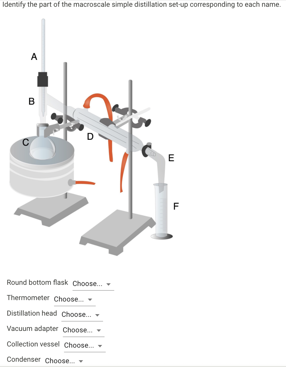 Solved Identify the part of the macroscale simple | Chegg.com