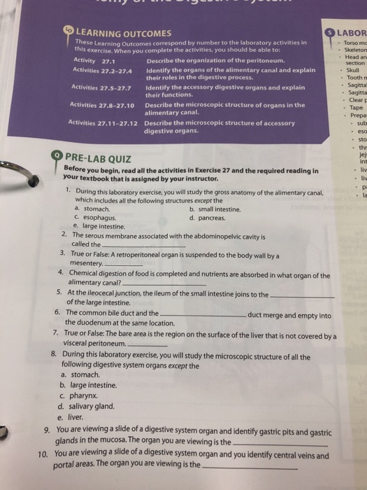 Solved LEARNING OUTCOMES These Learning Outcomes correspond | Chegg.com