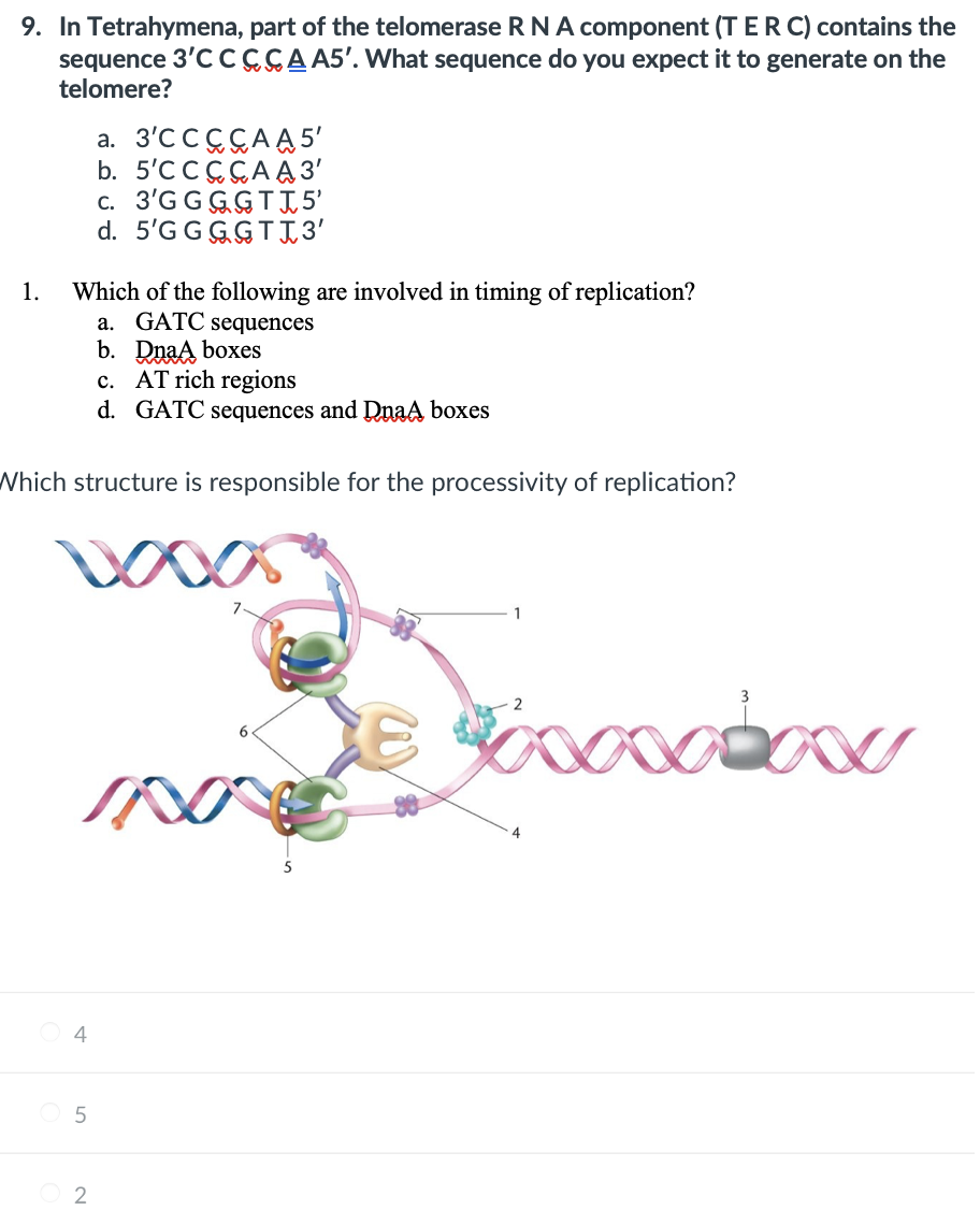 Solved 9. In Tetrahymena, part of the telomerase RNA | Chegg.com
