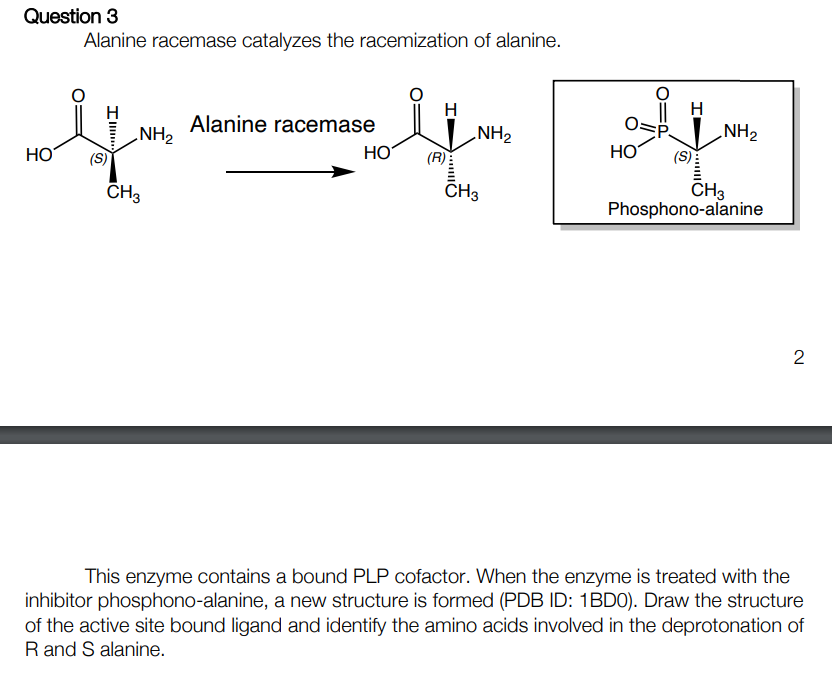 Question 3 Alanine racemase catalyzes the | Chegg.com
