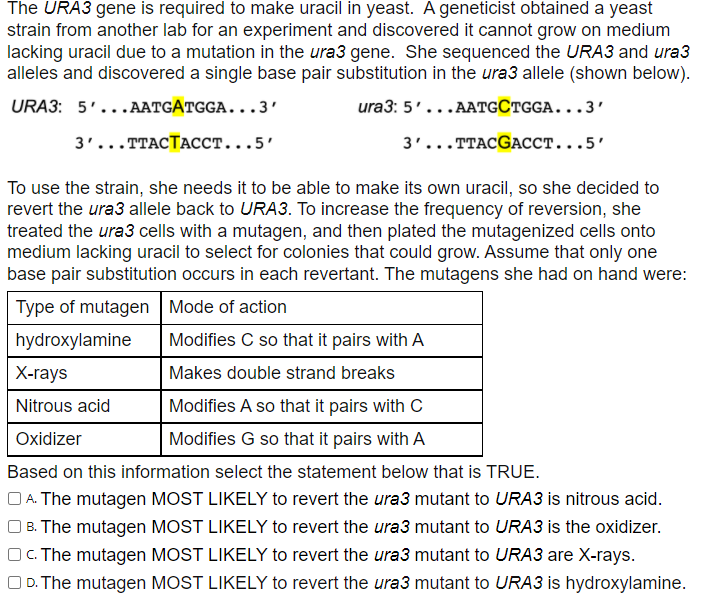Solved The URA3 gene is required to make uracil in yeast. A | Chegg.com