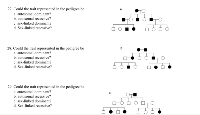 Solved I understand recessive and dominant characteristics | Chegg.com