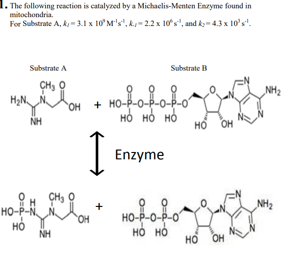 Solved 1. The following reaction is catalyzed by a | Chegg.com