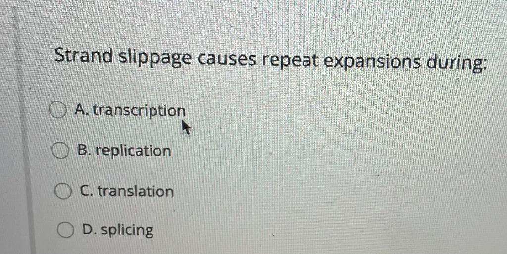 Solved Strand slippage causes repeat expansions during: O A. | Chegg.com