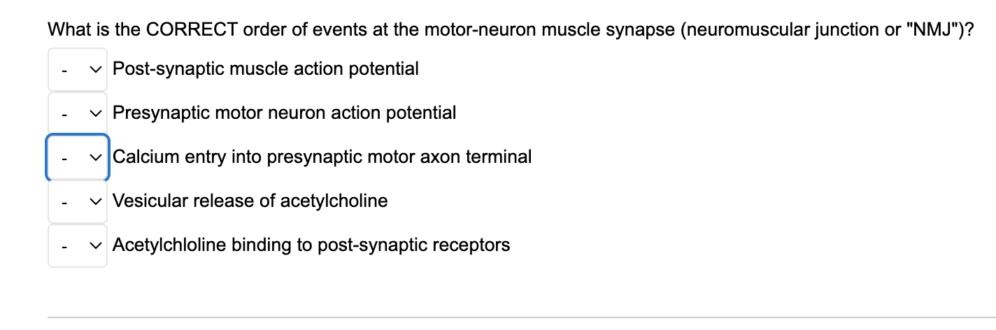 Solved What is the CORRECT order of events at the | Chegg.com