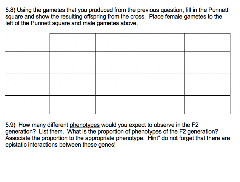 Solved 5) Epistatic cross: In this cross there are two genes | Chegg.com