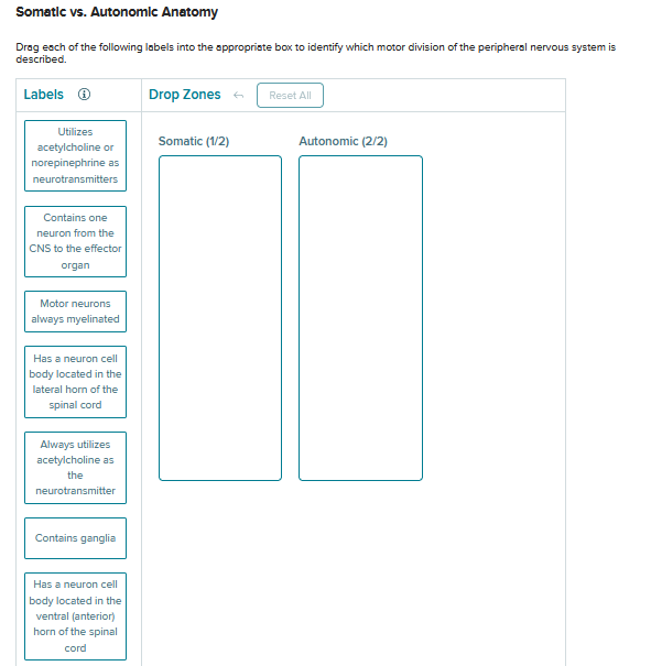 Solved Somatic vs. Autonomic Anatomy Drag each of the | Chegg.com