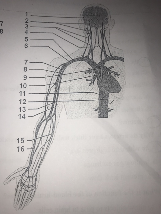 Solved 123456 78901234 | Chegg.com