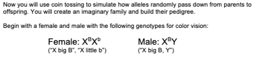 Solved Now you will use coin tossing to simulate how alleles | Chegg.com