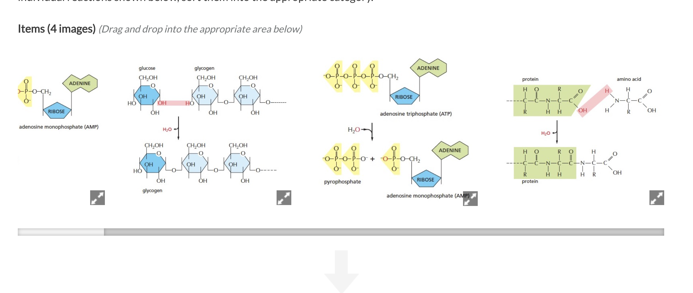 Solved Items (4 images) (Drag and drop into the appropriate | Chegg.com
