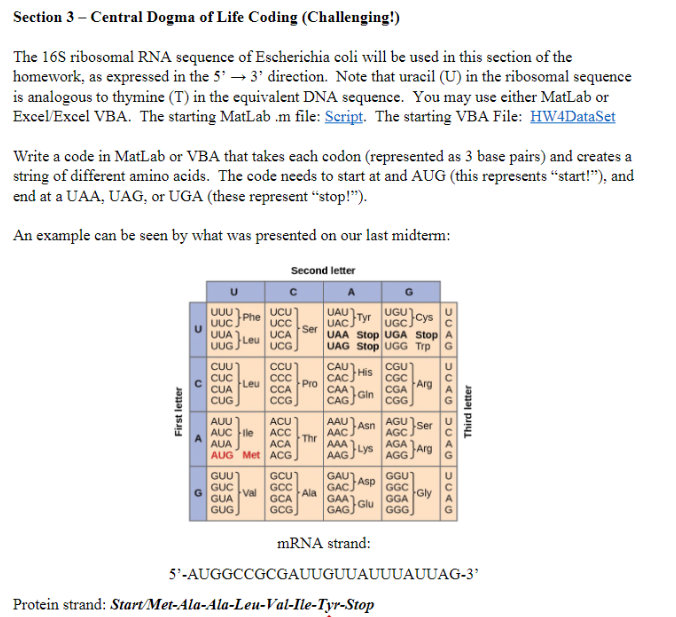 Solved Section 3 - Central Dogma of Life Coding | Chegg.com