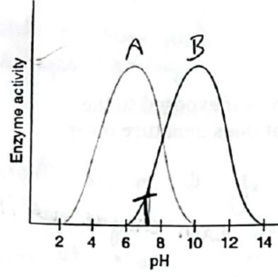 the graph below shows effect of ph or enzyme activity | Chegg.com