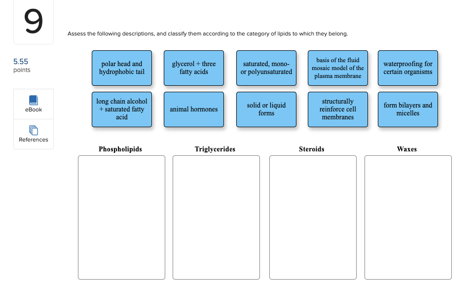 Solved Assess the following descriptions, and classify them | Chegg.com