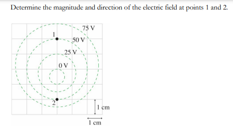 Solved Determine the magnitude and direction of the electric | Chegg.com