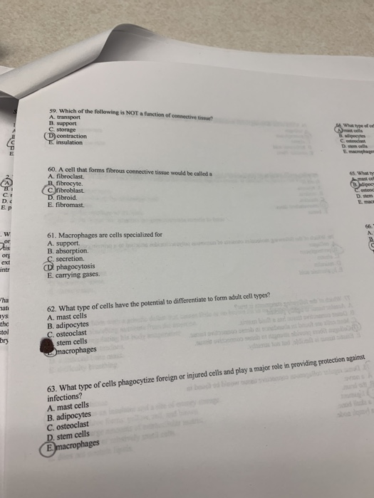 Solved 59 Which Of The Following Is NOT A Function Of Chegg solved-59-which-of-the-following-is-not-a-function-of-chegg