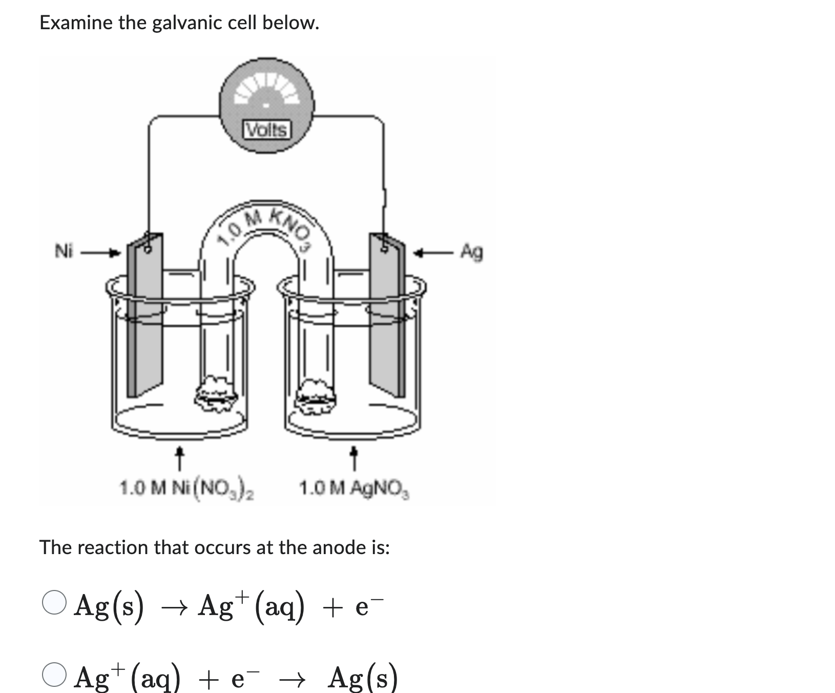Solved In the cell described above, where does reduction | Chegg.com