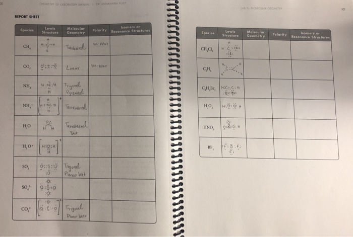 Solved REPORT SHEET Molecular Polarity Resonance Structures | Chegg.com