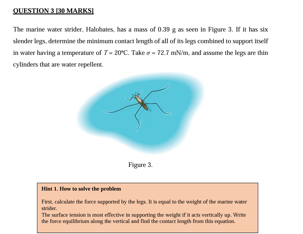 Solved Hint 1. ﻿How to solve the problem First, calculate | Chegg.com