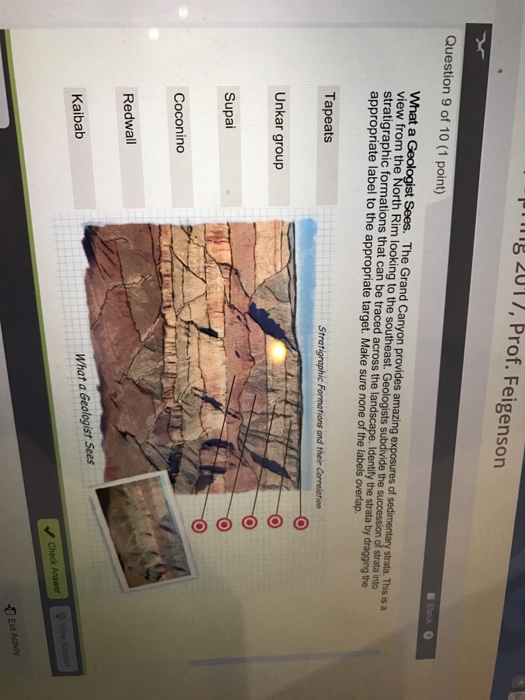 Solved What a Geologist sees. The Grand Canyon provides | Chegg.com