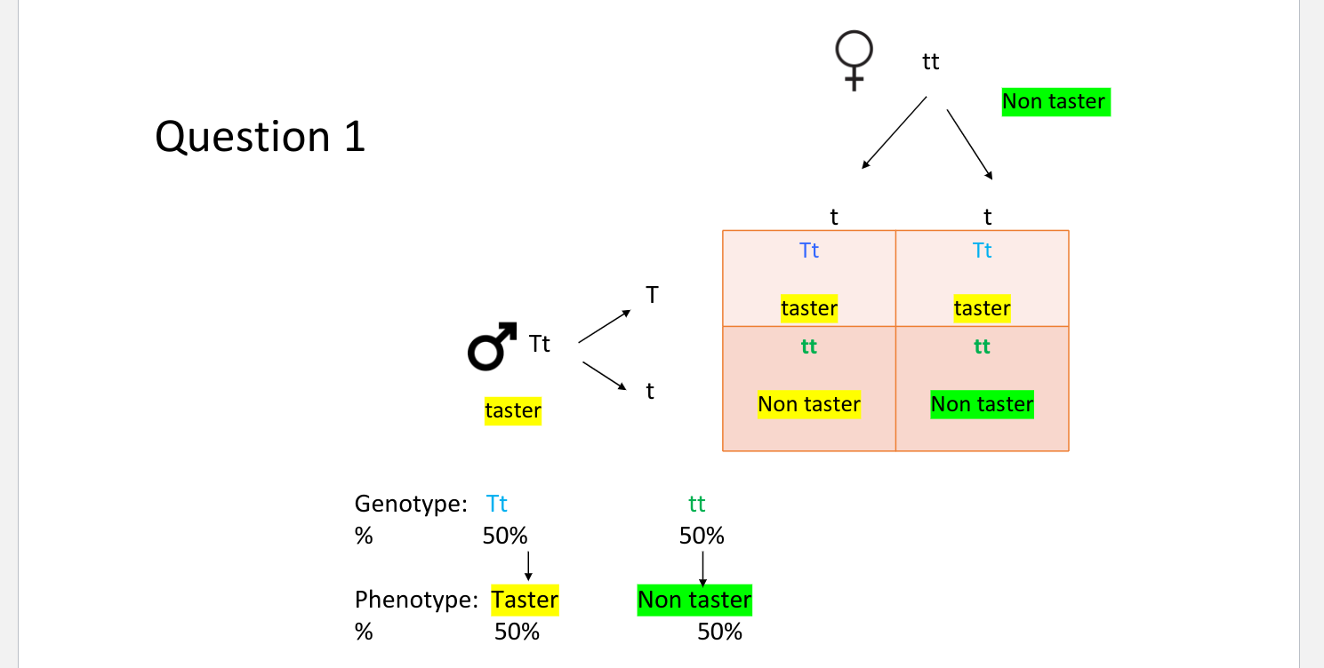 Solved Determine the genotypes and phenotype of the | Chegg.com