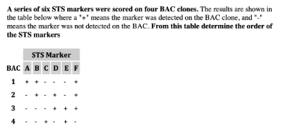 Solved A series of six STS markers were scored on four BAC | Chegg.com