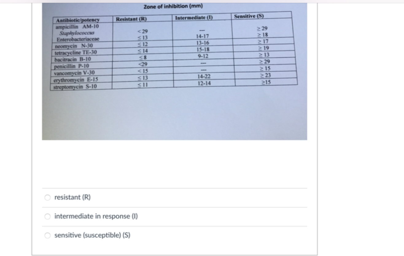 Solved Staphylococcus aureus exposed to AM−10 has a zone | Chegg.com