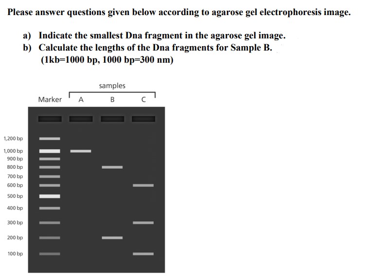 Solved lease answer questions given below according to | Chegg.com