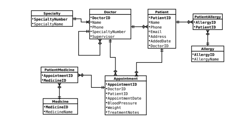 Solved Using the relations that you defined and normalized | Chegg.com