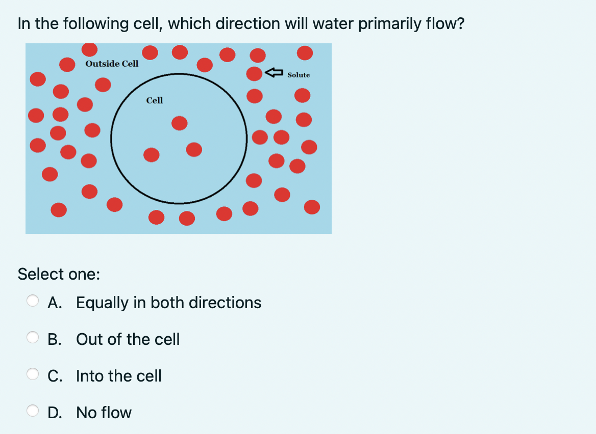 Solved In the following cell, which direction will water | Chegg.com
