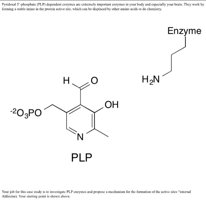 Solved Pyridoxal 5'-phosphate (PLP) dependent enzymes are | Chegg.com