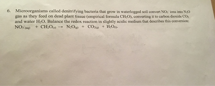 Solved 6. Microorganisms called denitrifying bacteria that | Chegg.com