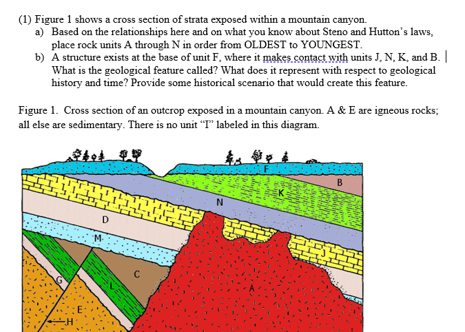 Solved (1) Figure 1 shows a cross section of strata exposed | Chegg.com
