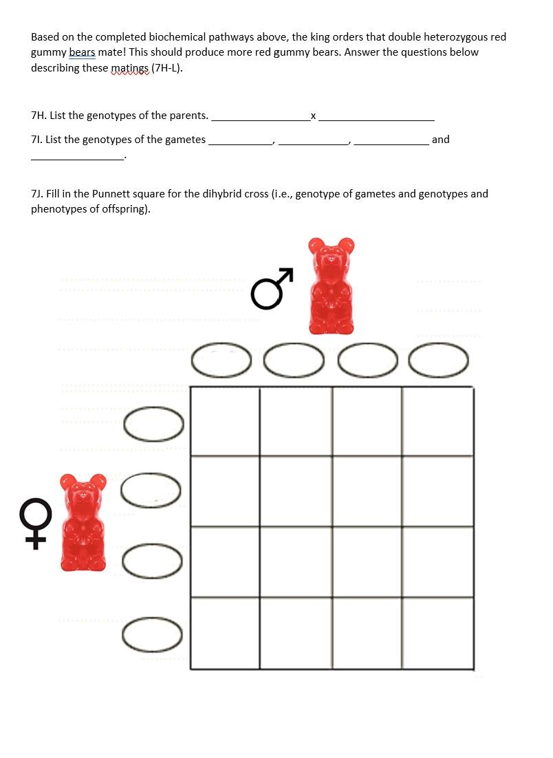 Solved 7. The Gummy Bear Kingdom is under attack! In this | Chegg.com