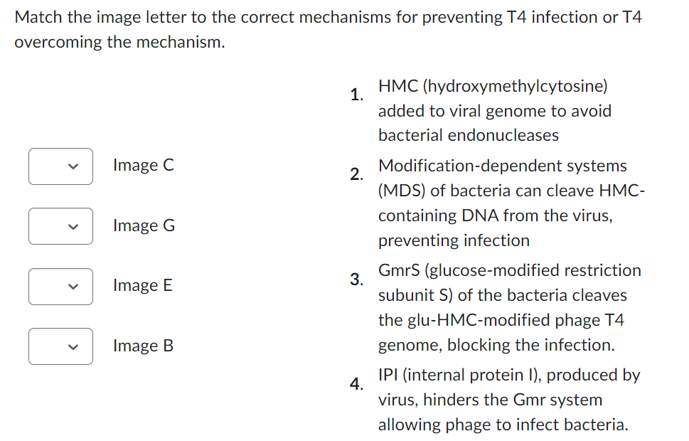 Solved Match the image letter to the correct mechanisms for | Chegg.com