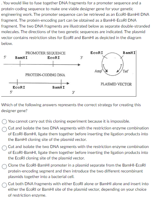 Solved . You would like to fuse together DNA fragments for a | Chegg.com