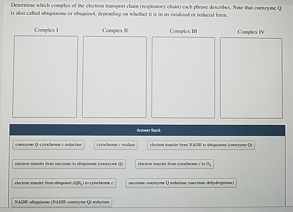 Solved Determine which complex of the electron transport | Chegg.com