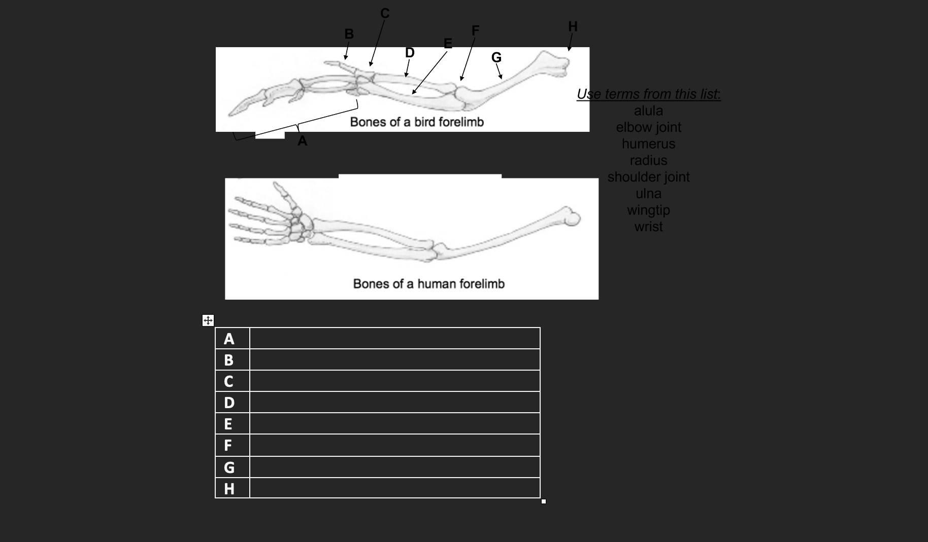 Solved e terms from this list: Bones of a human forelimb | Chegg.com