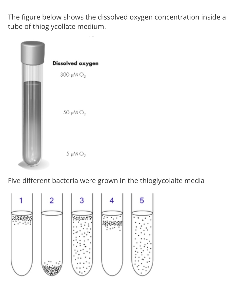 Solved The figure below shows the dissolved oxygen | Chegg.com