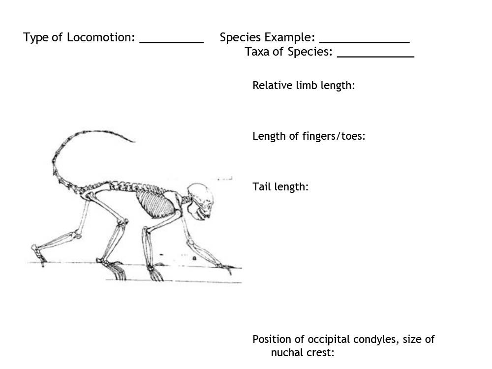 1. Identify a primate species that uses the form of | Chegg.com