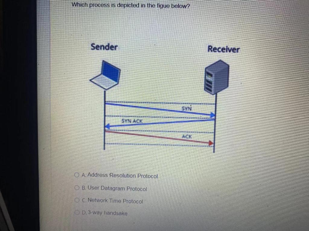 Solved Which process is depicted in the figue below? A. | Chegg.com