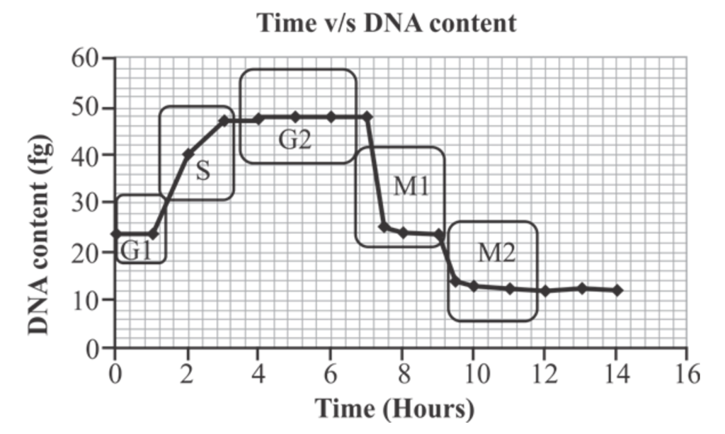Solved Given the fact that 1 fg of DNA = 9.78 * 10^5 base | Chegg.com