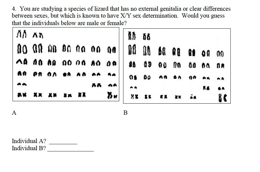 Solved 1 Consider The Following Rna Transcribed From The