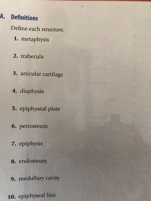Solved A. Definitions Define each structure. 1. metaphysis | Chegg.com