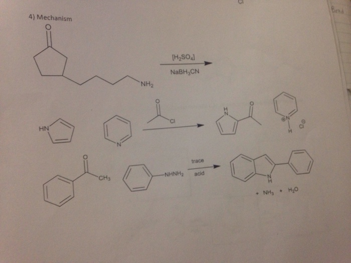 Solved 4) Mechanism HN CH3 NH2 NaBH,CN trace NHNH2 acid NHs | Chegg.com