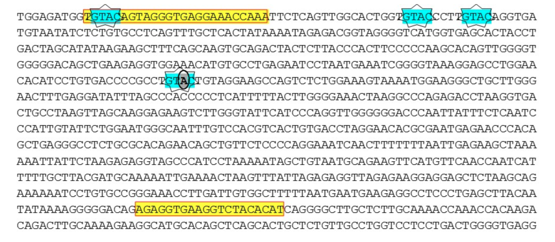 You are preparing to perform an RFLP assay on the | Chegg.com